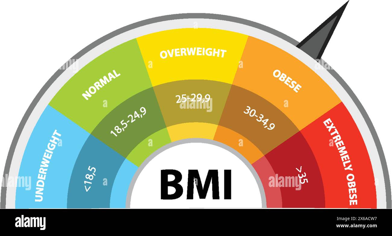 Colorful BMI gauge showing weight categories Stock Vector Image & Art ...