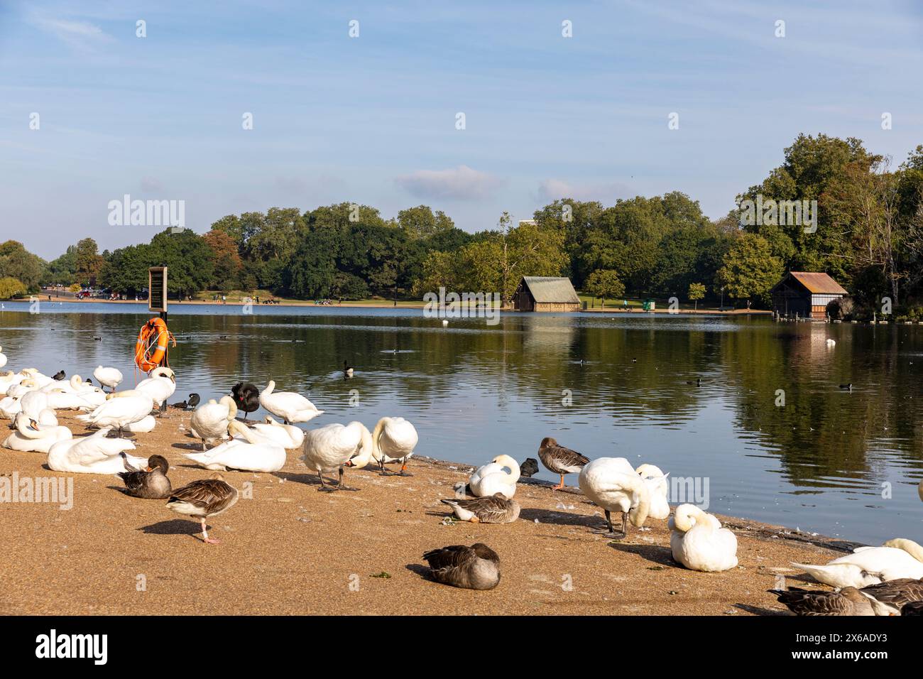 Hyde Park London, autumn heatwave weather view across The Serpentine ...