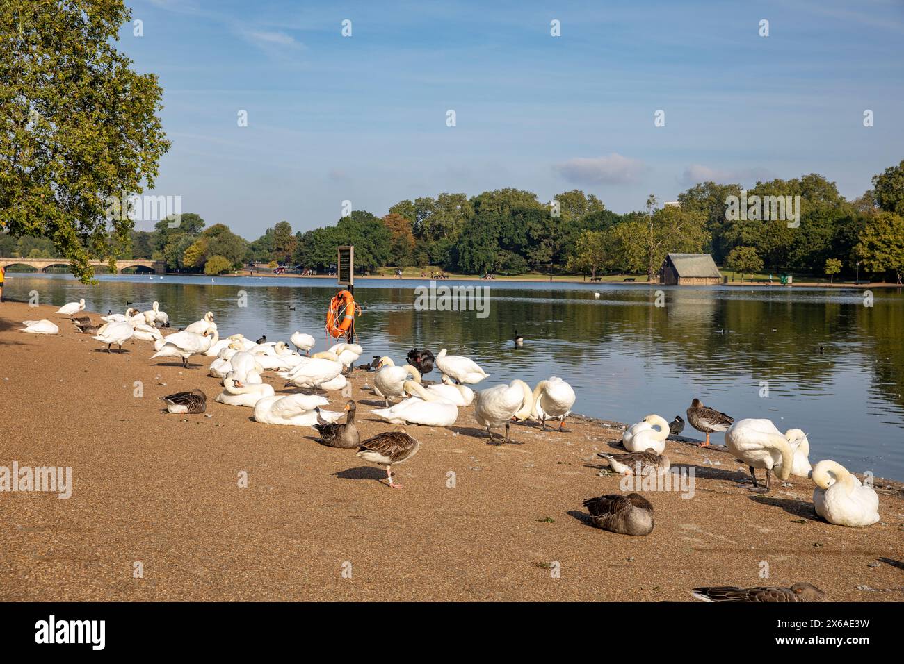 Hyde Park London, autumn heatwave weather view across The Serpentine ...