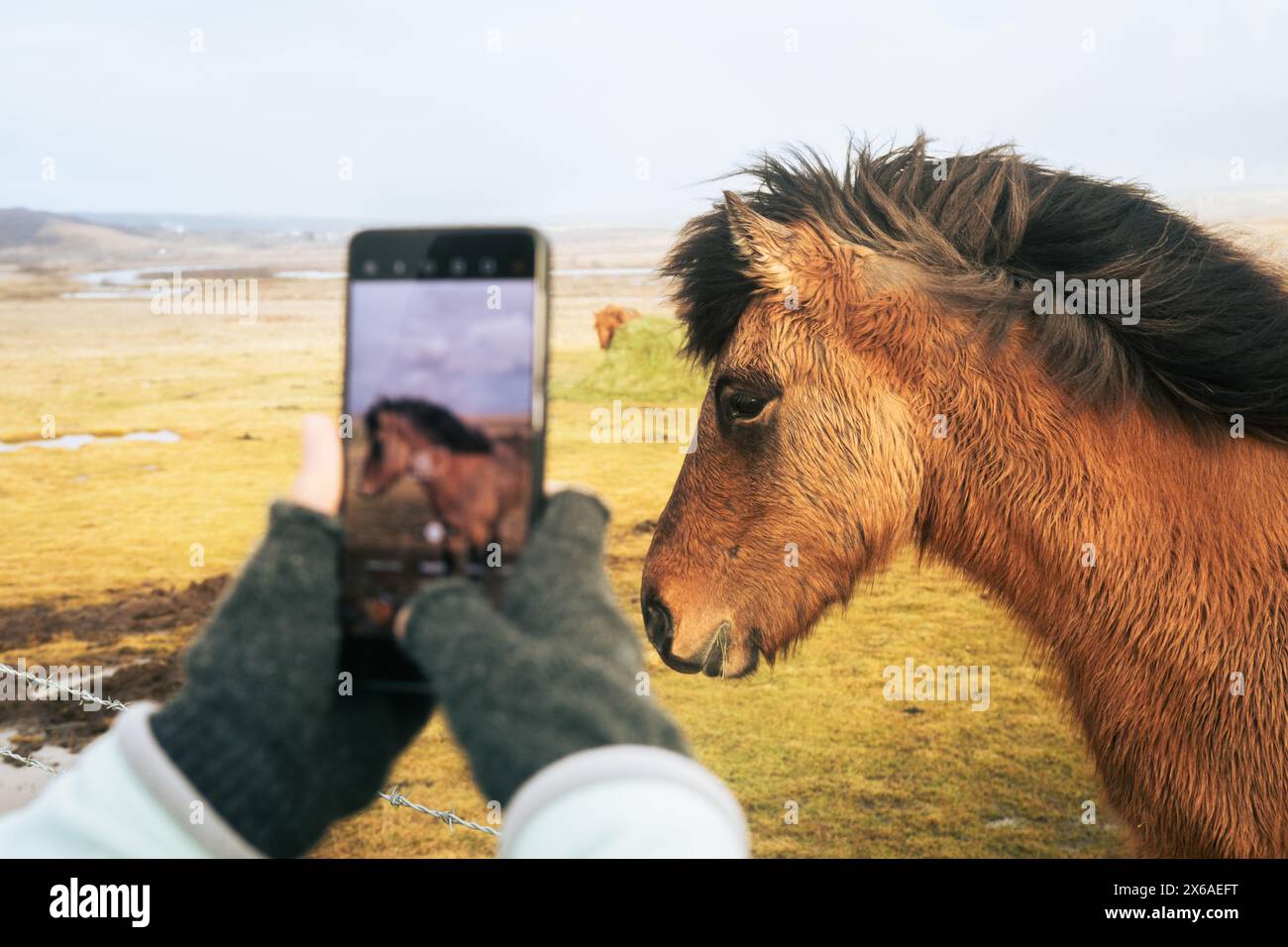 Female tourist using hold mobile phone take photo with smartphone ...