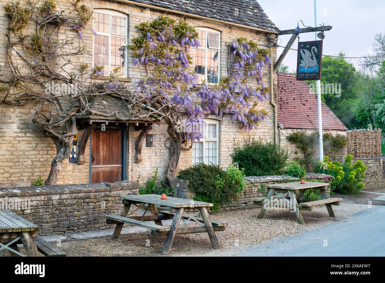 Wisteria flowering on the The Swan Inn at Swinbrook in spring ...