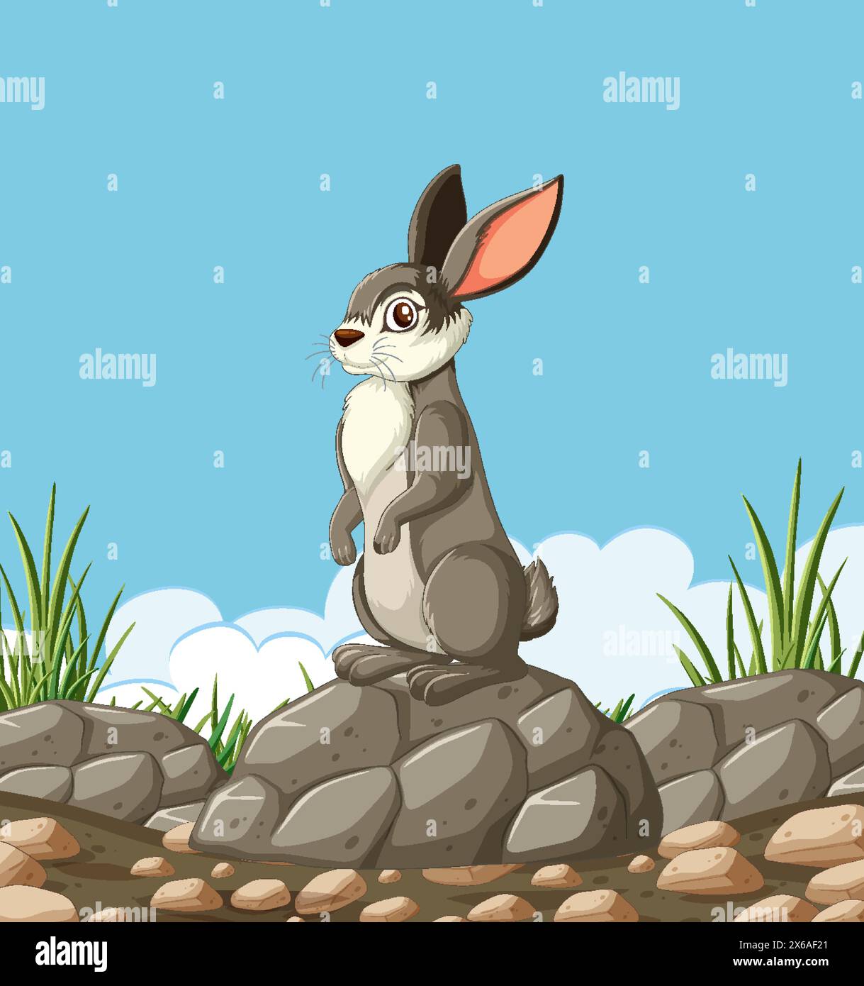 Vector illustration of a rabbit sitting on rocks Stock Vector Image ...