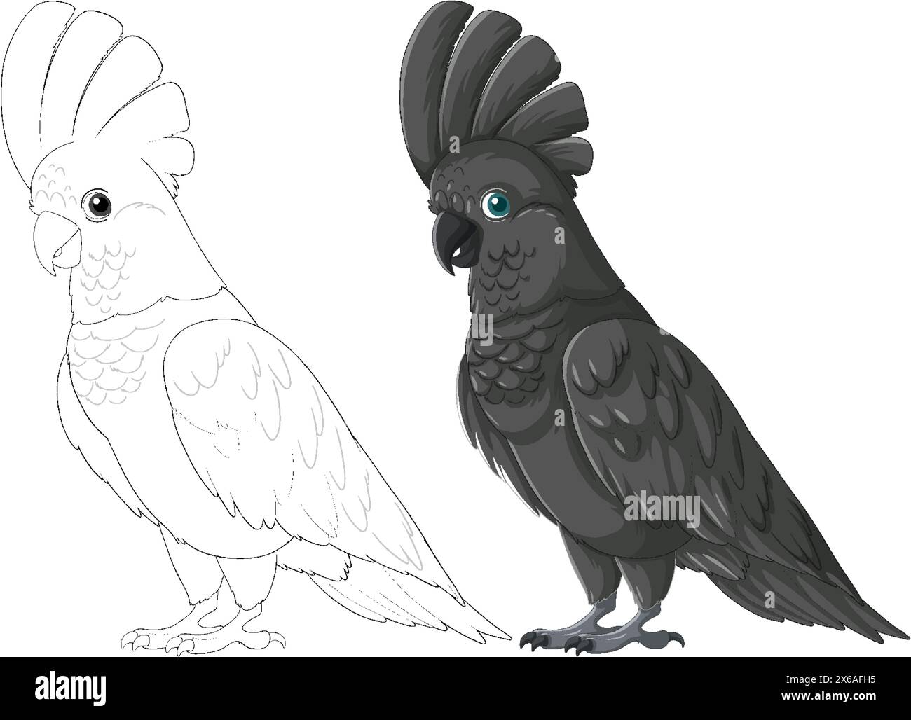Detailed black cockatoo with outline version Stock Vector Image & Art ...