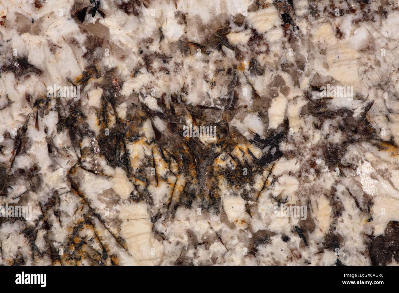 Stylish Alaska white granite, texture in beautiful classic colors Stock ...