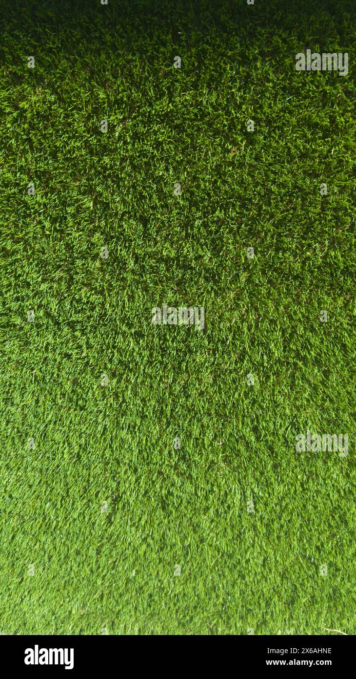 green grass field turf grass texture synthetic artificial plastic top ...