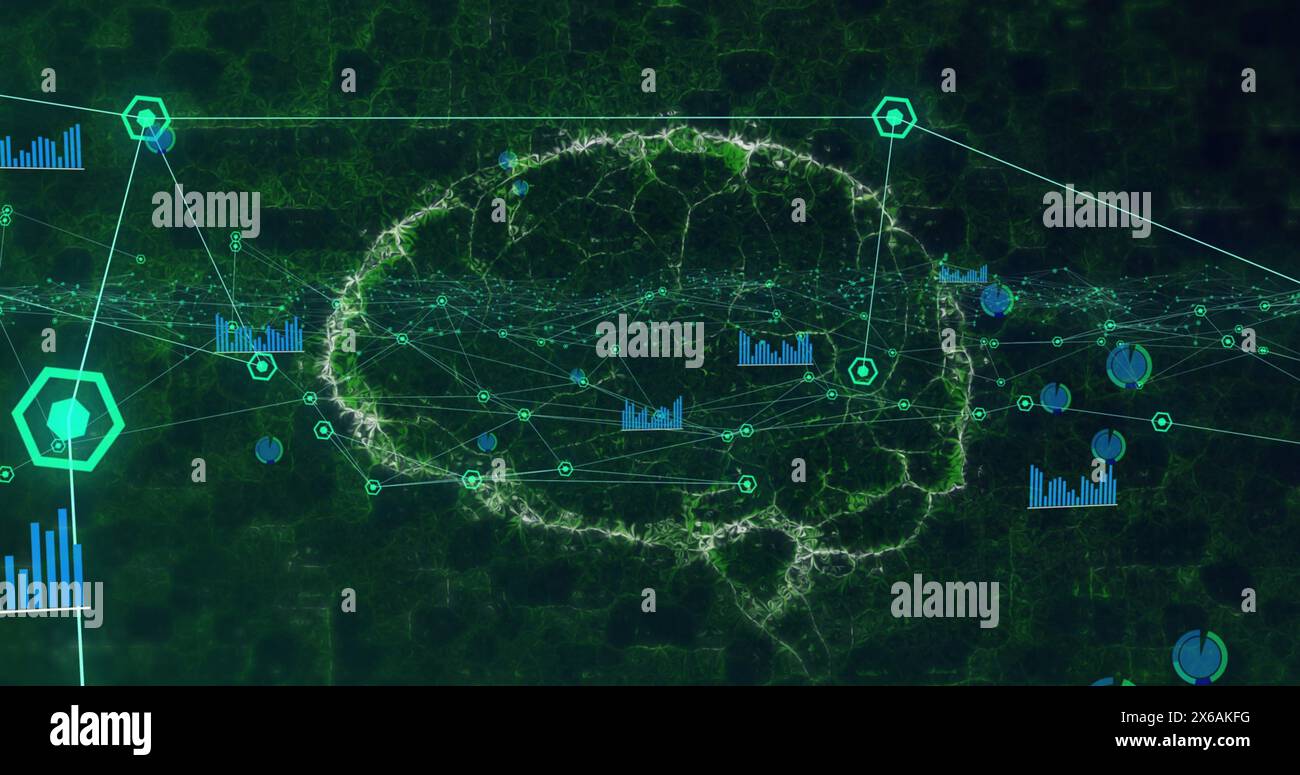 Real brain hi-res stock photography and images - Alamy