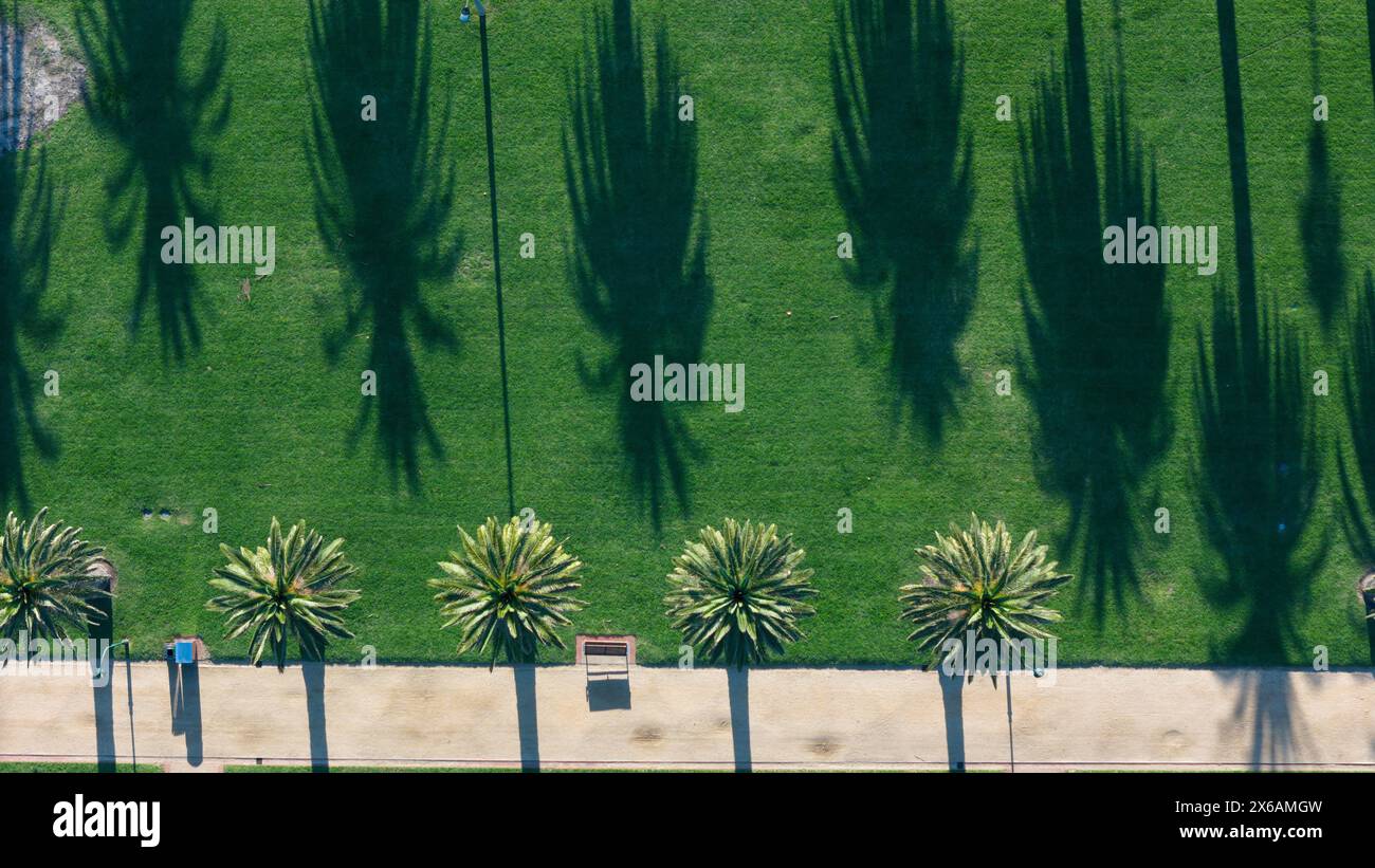 Melbourne Australia. Catani Gardens in St Kilda palm trees casting ...