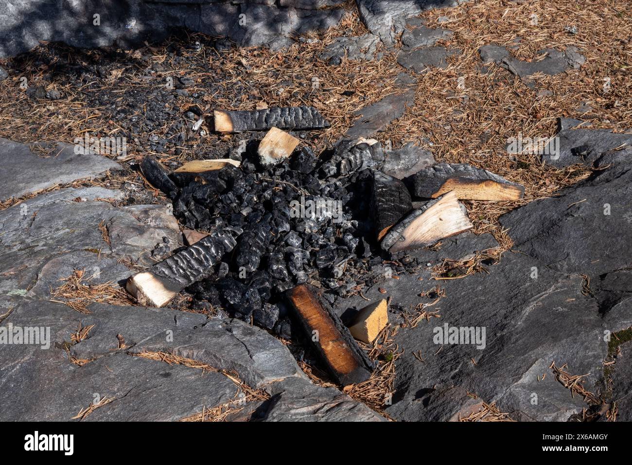 partially burnt wooden logs in camping site Stock Photo - Alamy