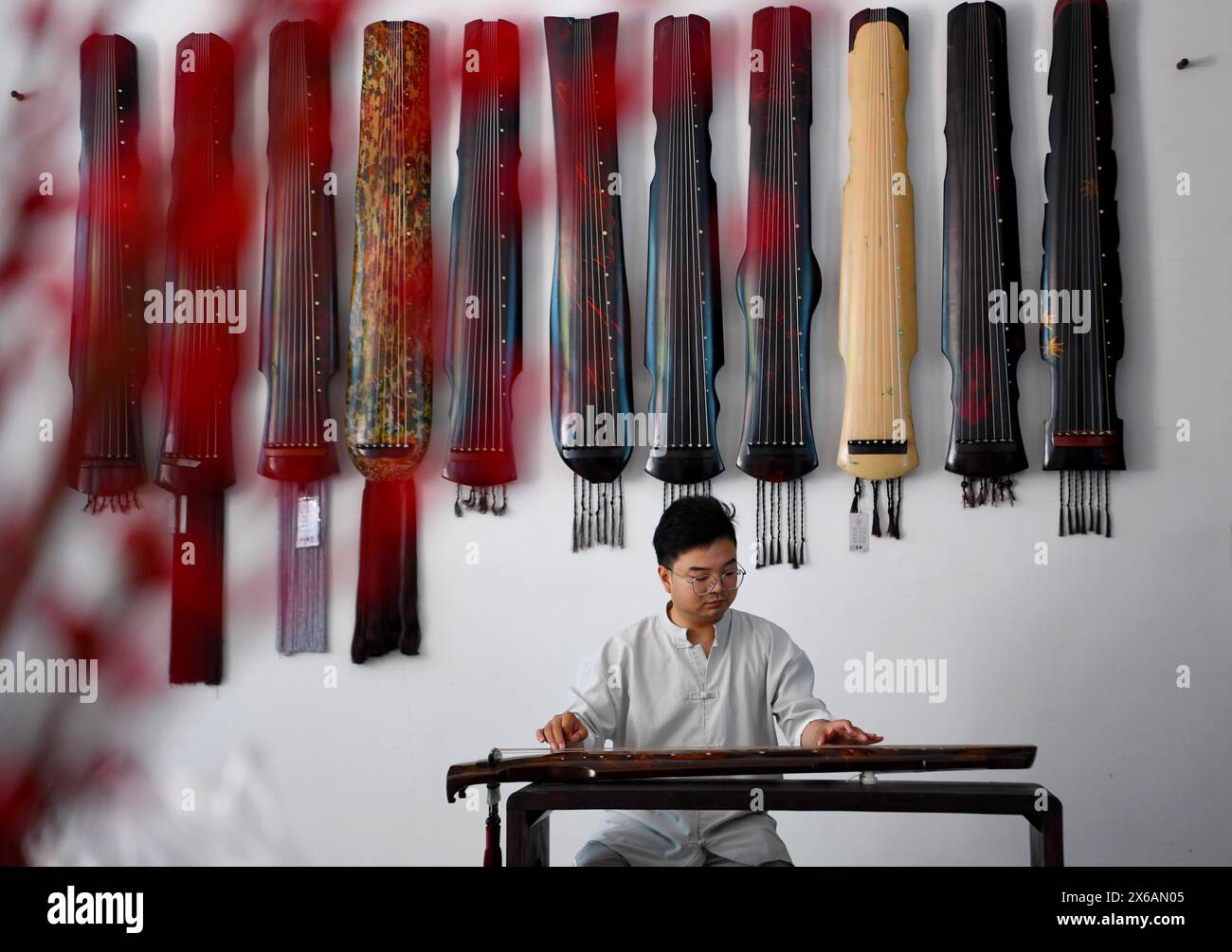 Plucked string instruments hi-res stock photography and images - Alamy