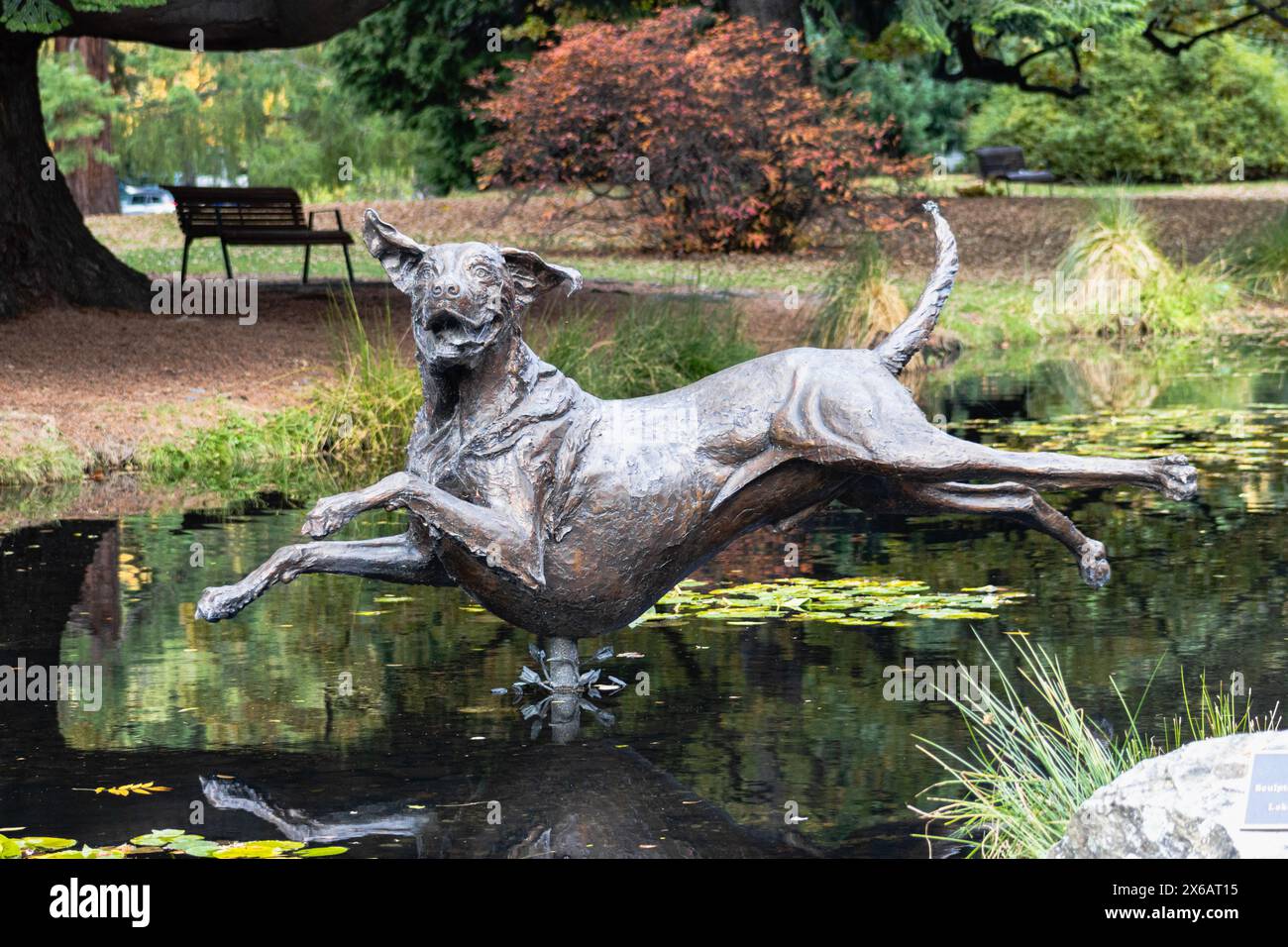 Queenstown, New Zealand - April 22, 2023: “Kuri”, a 3.6 metre dog ...