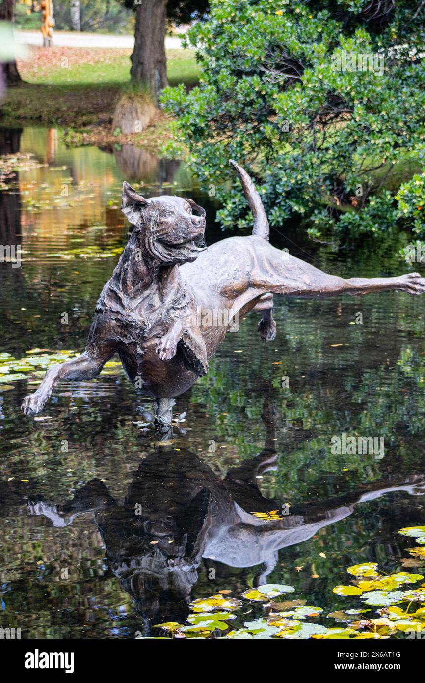 Queenstown, New Zealand - April 22, 2023: “Kuri”, a 3.6 metre dog ...