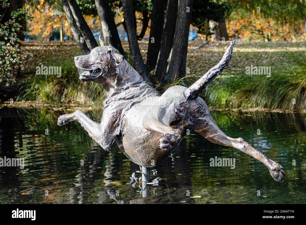 Queenstown, New Zealand - April 22, 2023: “Kuri”, a 3.6 metre dog ...