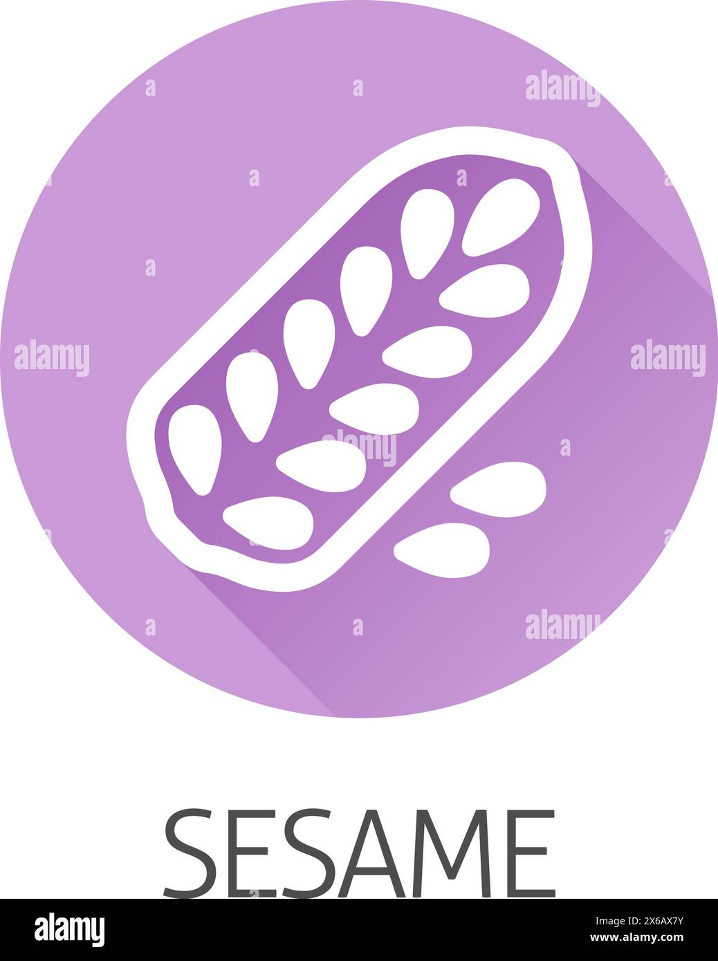 Black seed sesame Stock Vector Images - Alamy