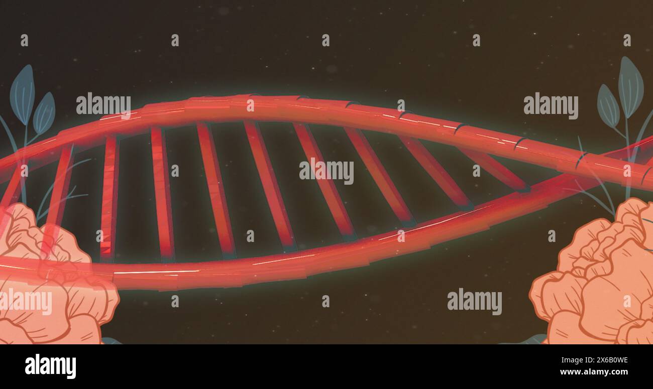 Image of dna over roses on black background Stock Photo - Alamy