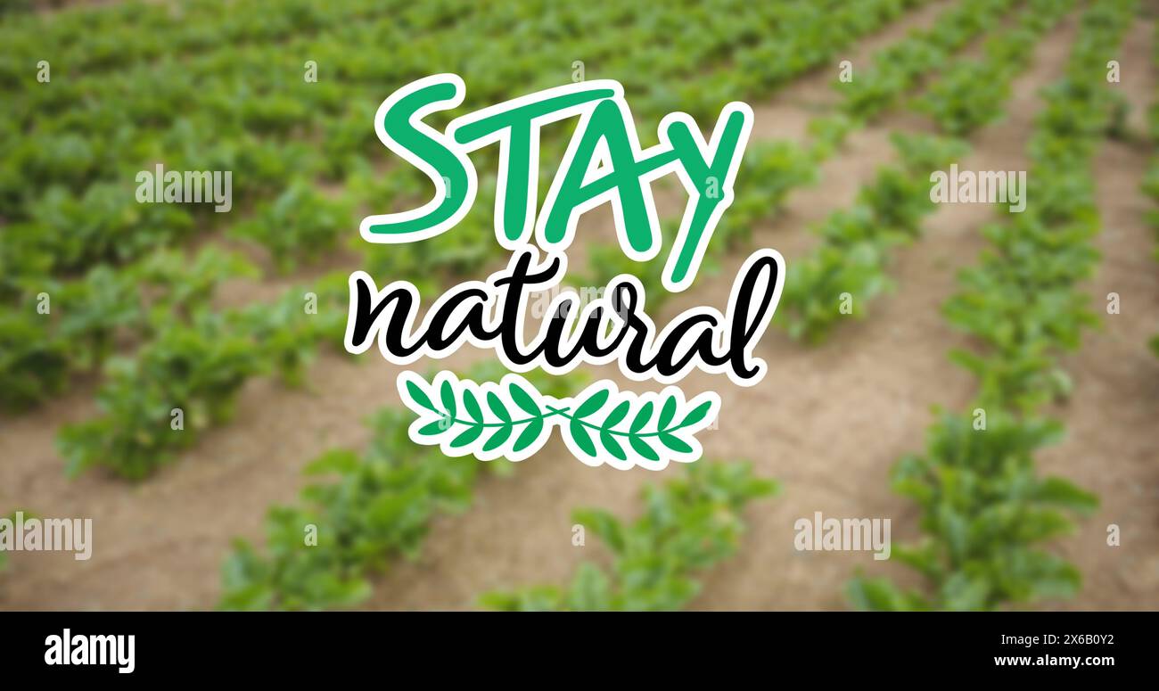 Plants natural growth environment hi-res stock photography and images ...