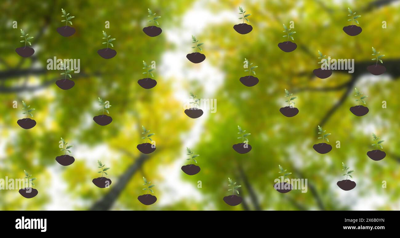 Image of stay natural text over trees Stock Photo - Alamy