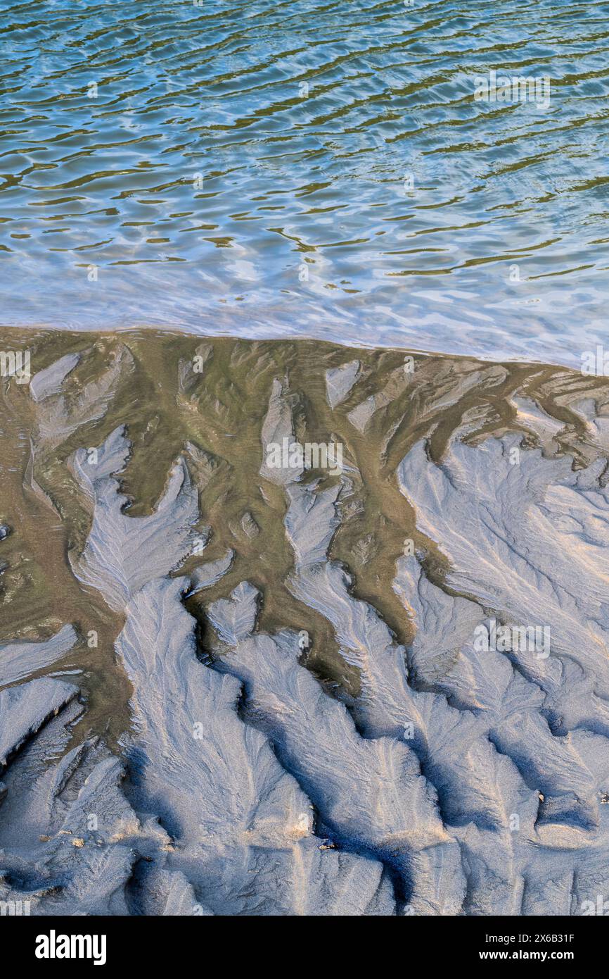 Sandy muddy ridges left behind on the banks of the tidal Gannel River ...