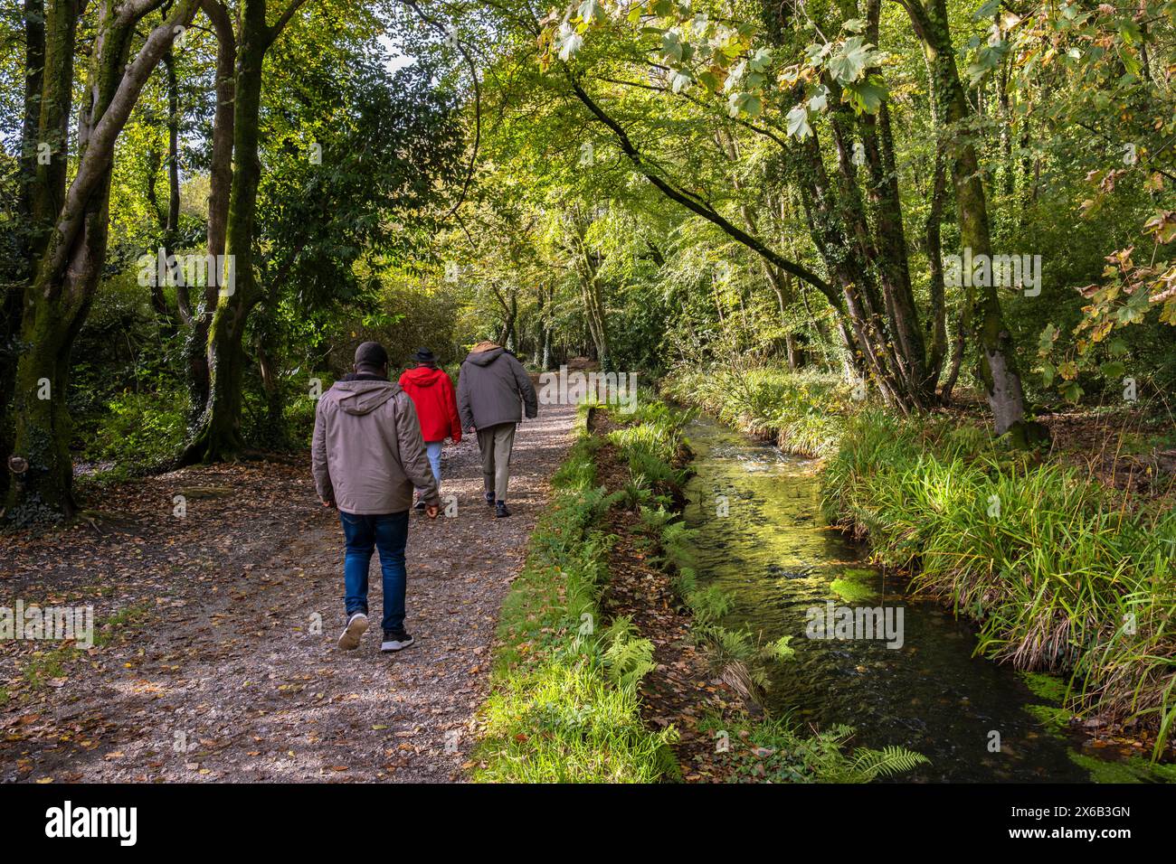 People walking along a path in Tehidy Woods Country Park in Cornwall in ...