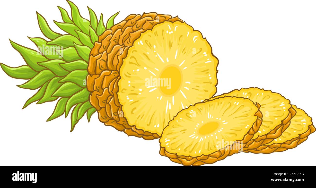 Pineapple Fruit Colored Detailed Illustration Stock Vector Image & Art ...