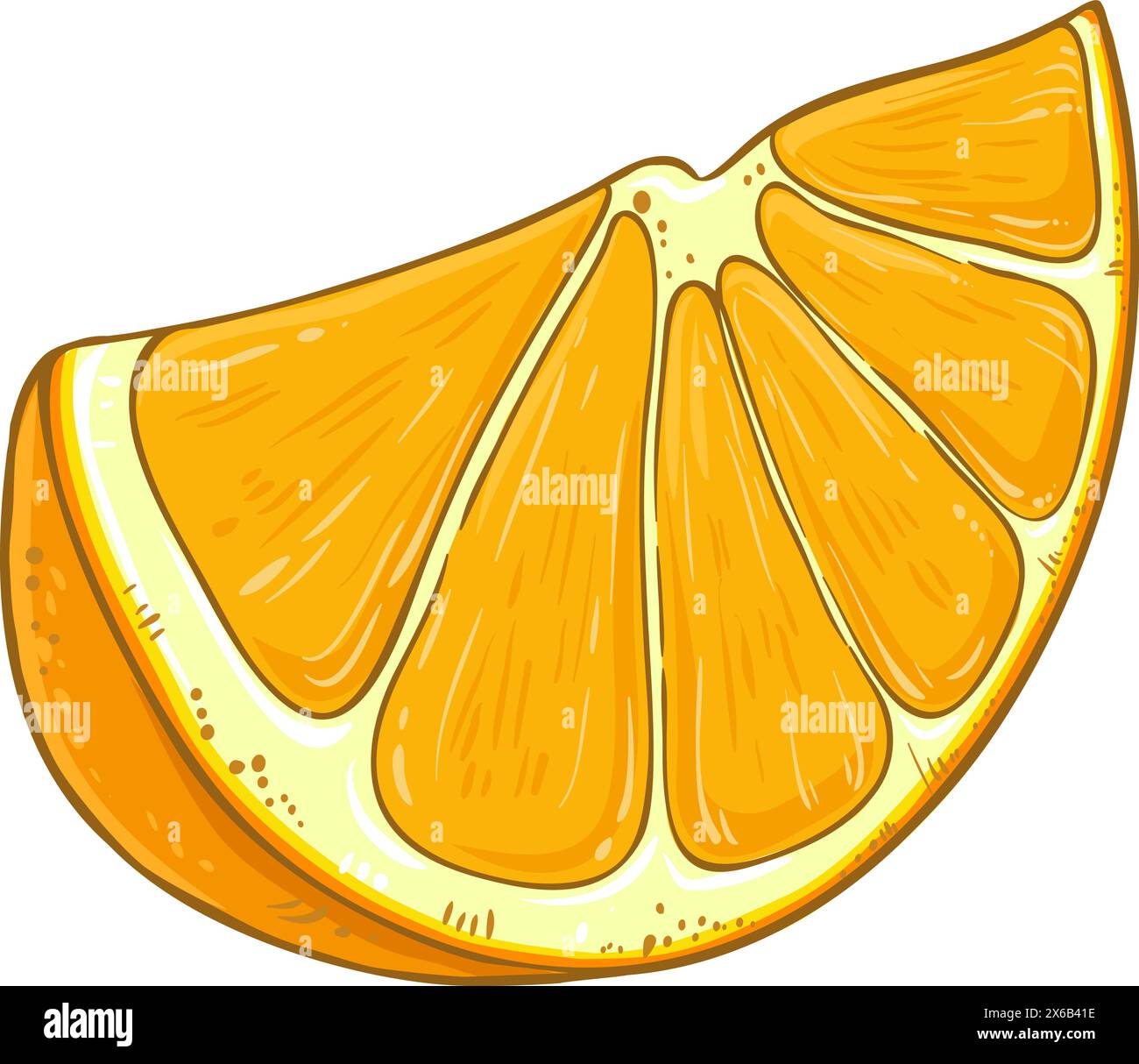 Orange Fruit Colored Detailed Illustration Stock Vector Image & Art - Alamy