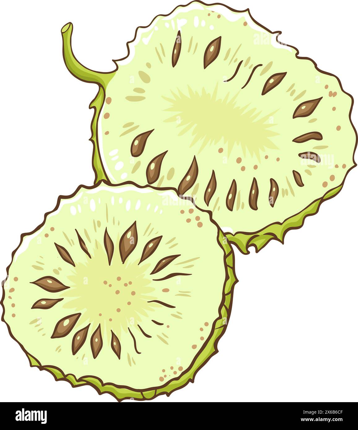 Soursop Fruit Colored Detailed Illustration Stock Vector Image & Art ...