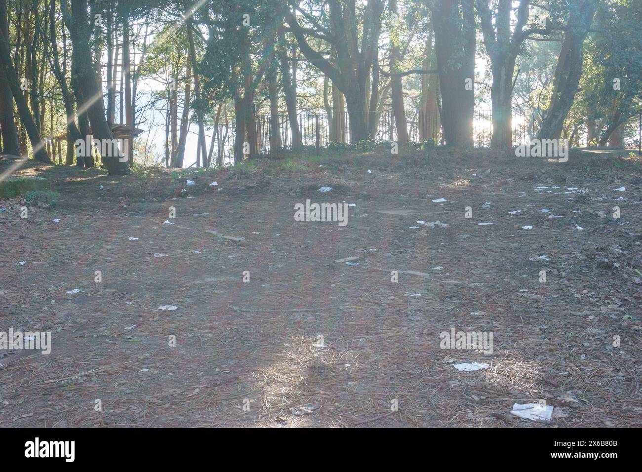 Pollution of the environment with a lot of garbage in the forest Stock ...