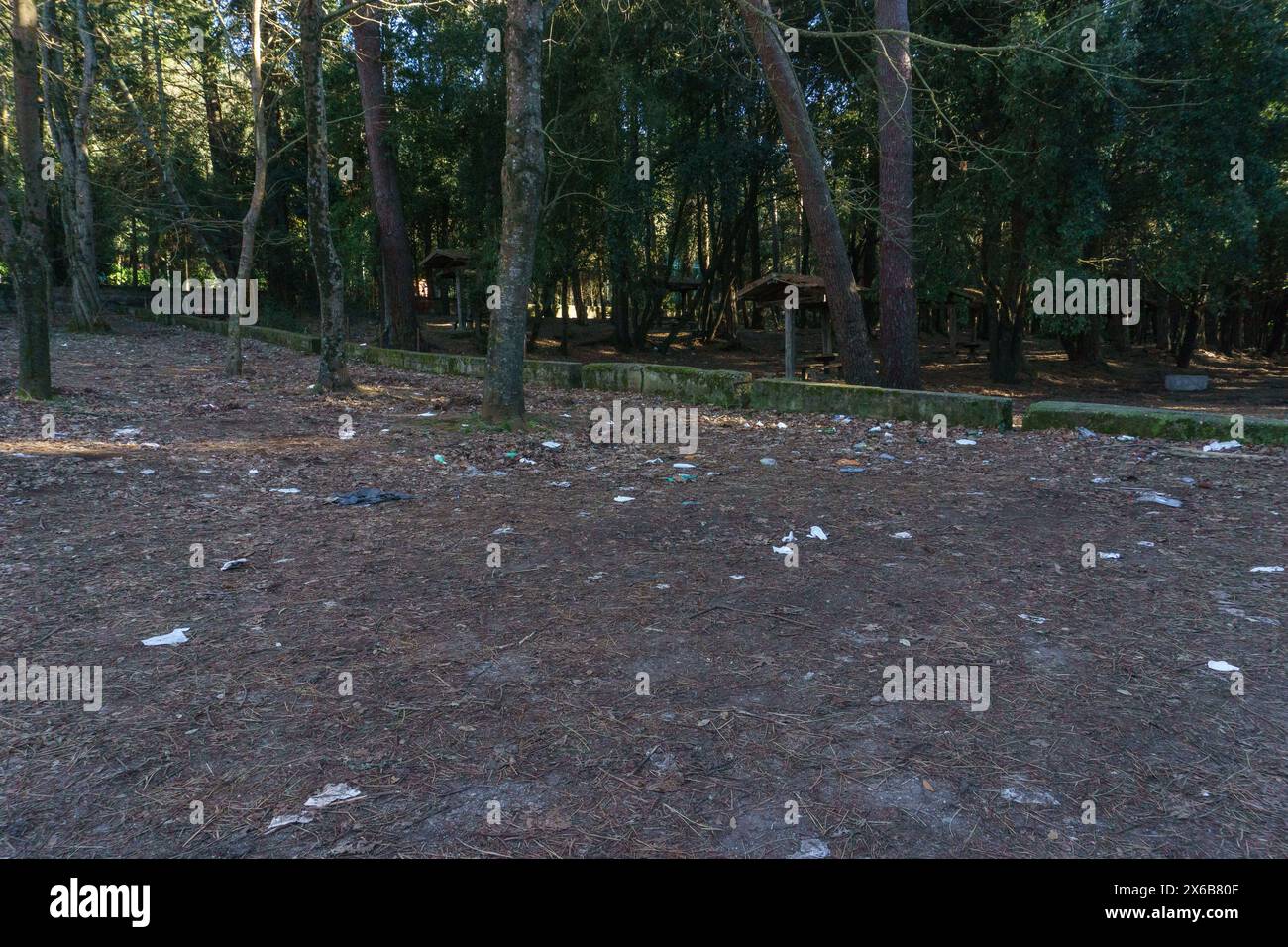 Pollution of the environment with a lot of garbage in the forest Stock ...