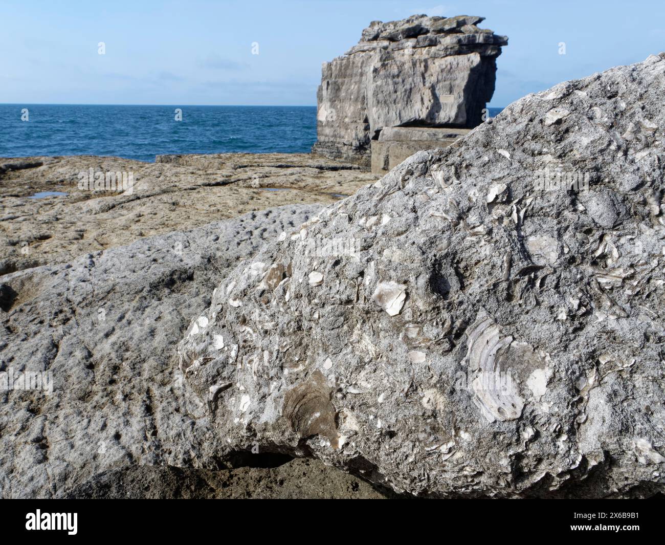 Exposed fossils hi-res stock photography and images - Alamy