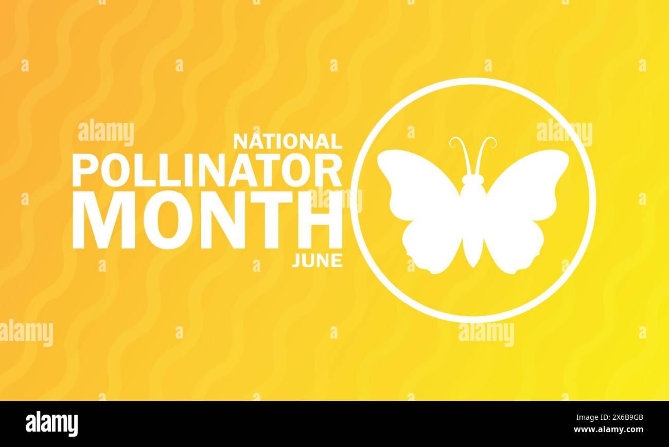 National Pollinator Month June wallpaper with shapes and typography ...