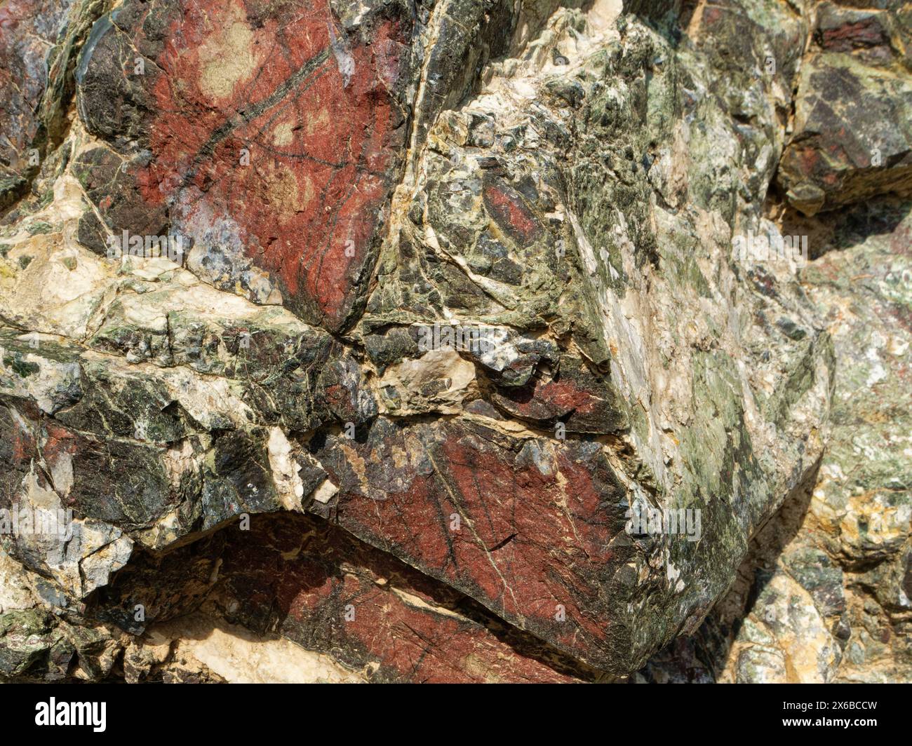 Serpentine rock outcrop with green, scaly snakeskin like surface ...