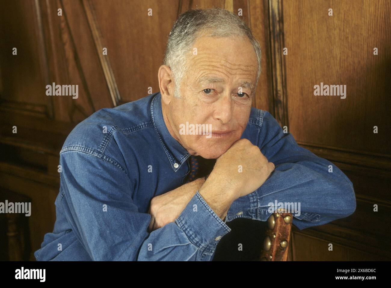 James SALTER - Date : 19941201 ©John Foley/Opale.photo Stock Photo - Alamy