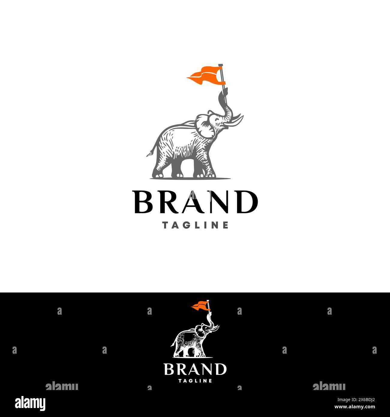 Elephant logo concept illustration set design. Elephant Company Logo ...