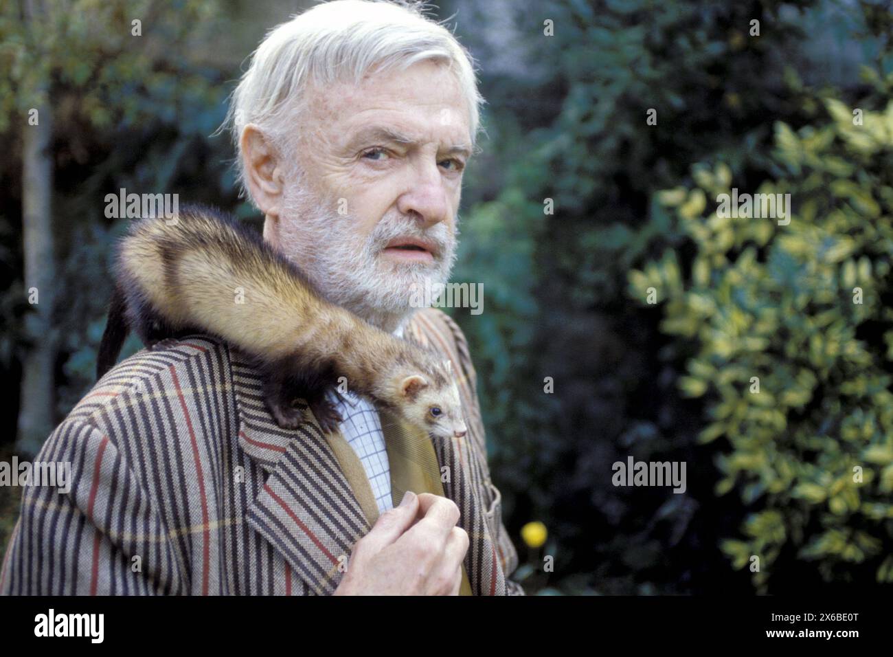 Jean Pierre (Jean-Pierre) GIRAUDOUX - Date : 19941101 ©John Foley/Opale ...