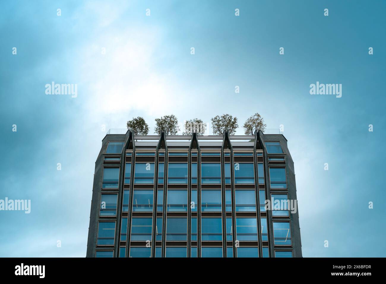 Office trees hi-res stock photography and images - Alamy