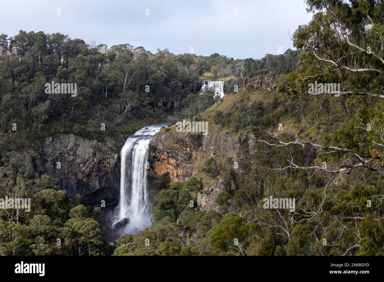 Guy fawkes river national hi-res stock photography and images - Alamy