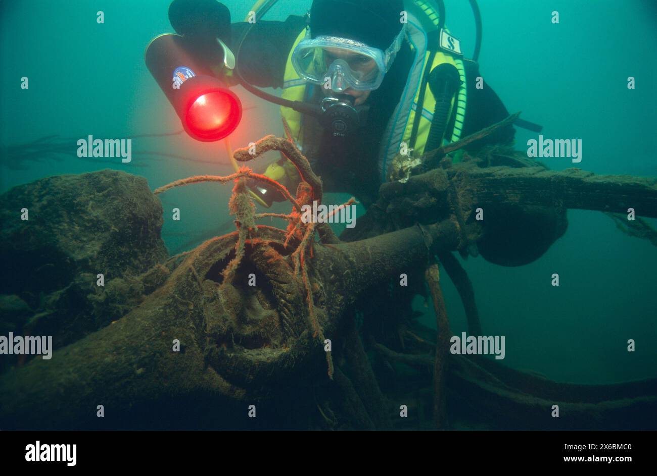 Flußtauchen in der Enns Flußtauchen in der Enns Copyright: xIMAGO ...