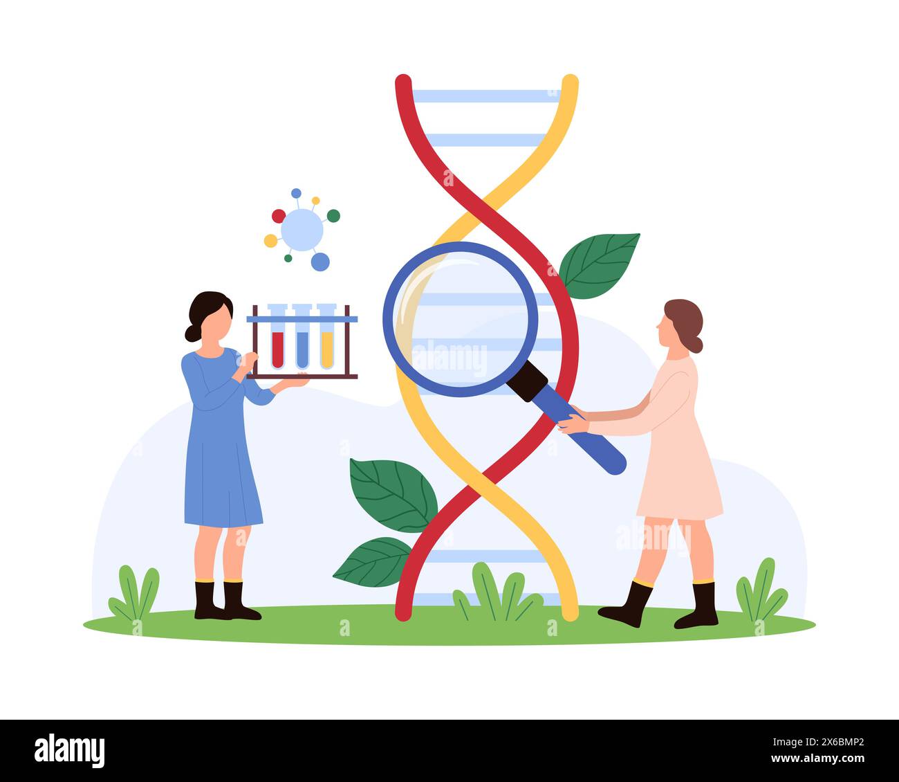 Genes explore Cut Out Stock Images & Pictures - Alamy