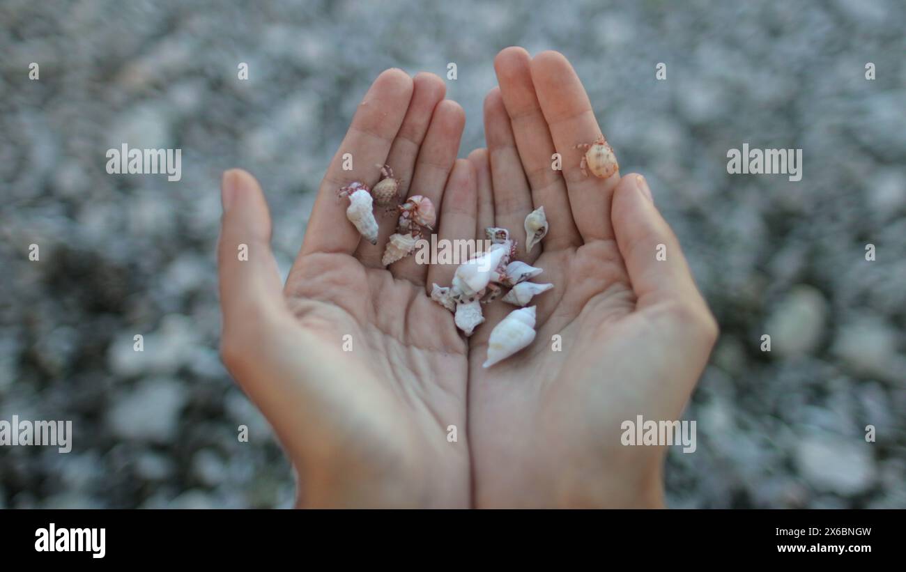 A person is shown with their hands held in front of them, adorned with ...