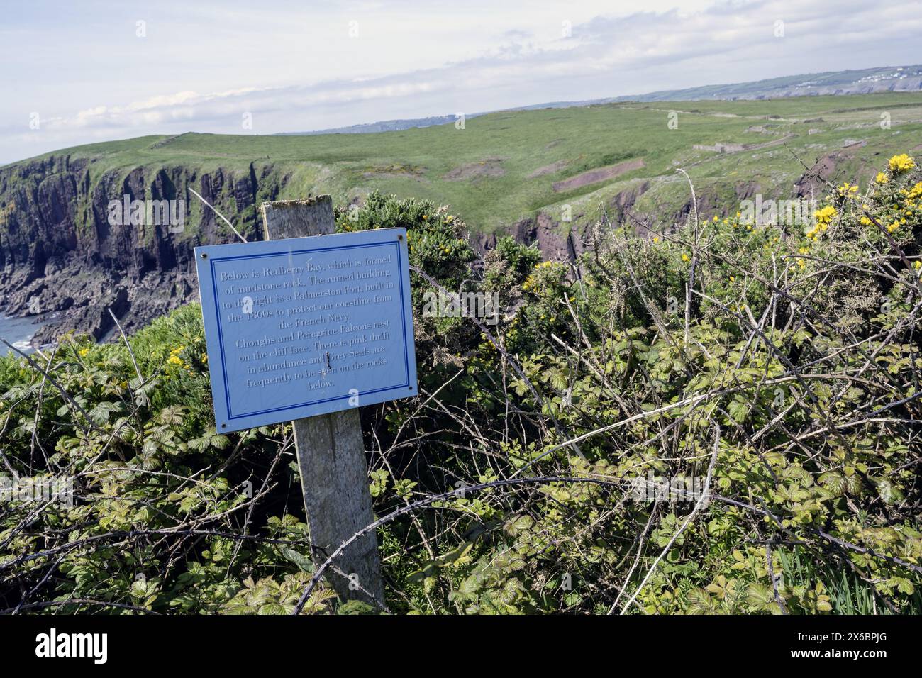 Landscape view including tourist information sign at Red Berry Bay ...