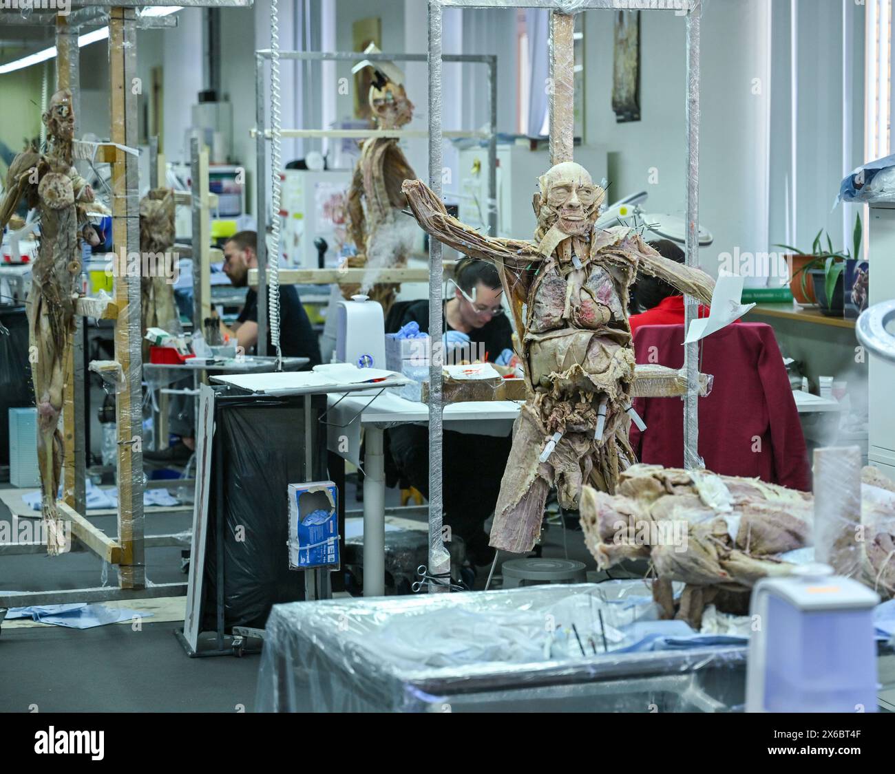 Cadaver human body hi-res stock photography and images - Alamy