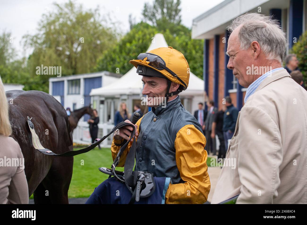 Windsor grey daniel horse hi-res stock photography and images - Alamy