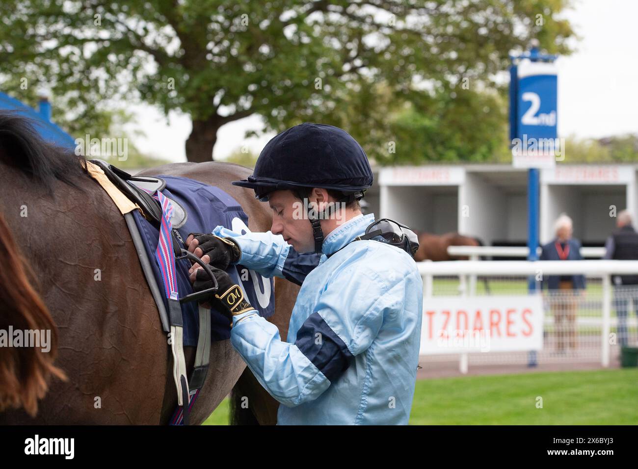 Owner highclere thoroughbred racing van gogh hi-res stock photography ...