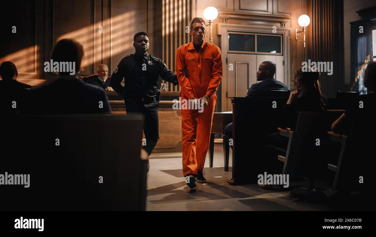 Cinematic Court of Law and Justice Trial Proceedings: Portrait of ... Cinematic Court of Law and Justice Trial Proceedings: Portrait of ...