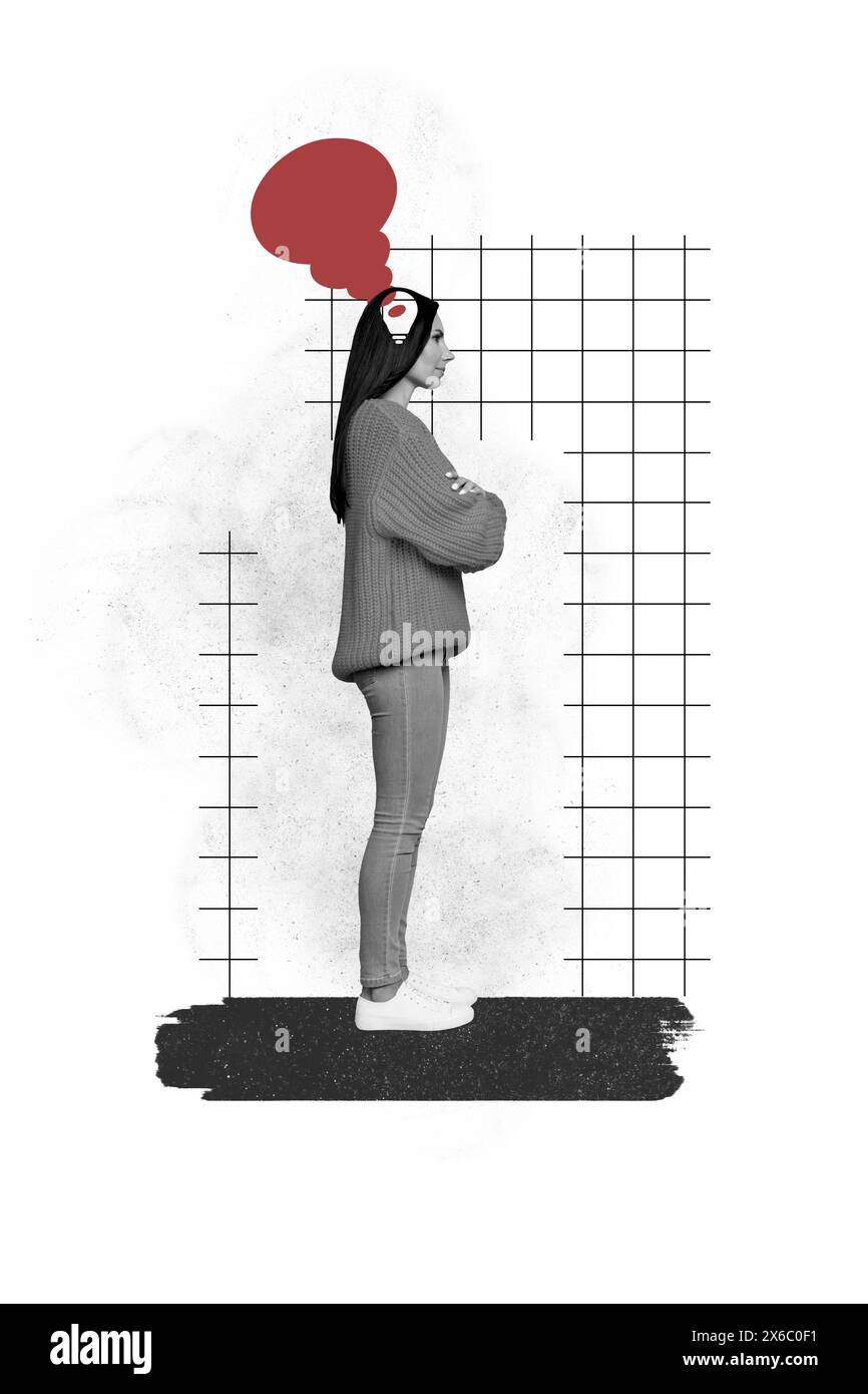 Collage poster artwork of minded clever smart lady crossed arms ponder ...
