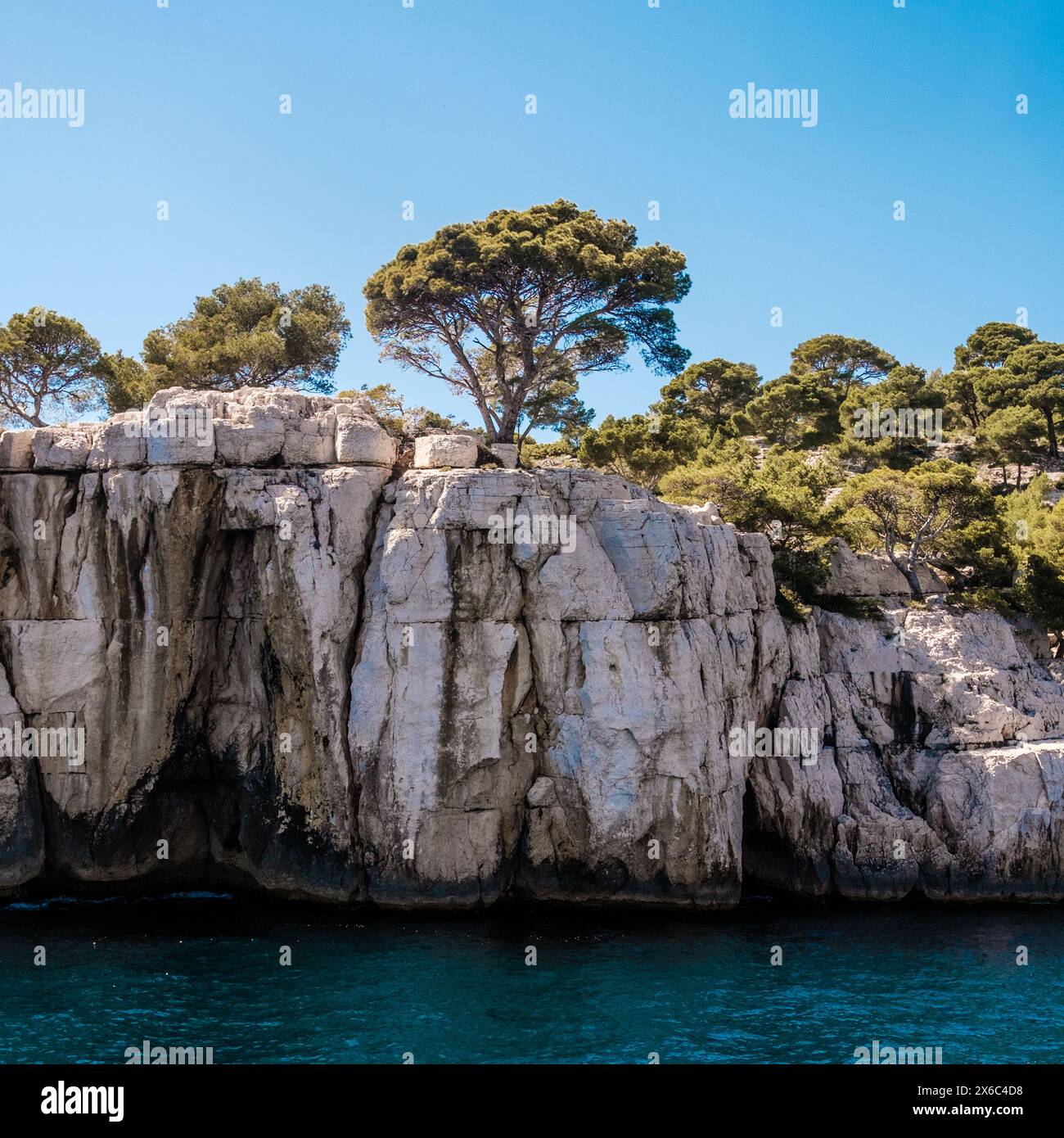 Solitary tree atop rugged limestone cliffs against a blue sea Stock ...