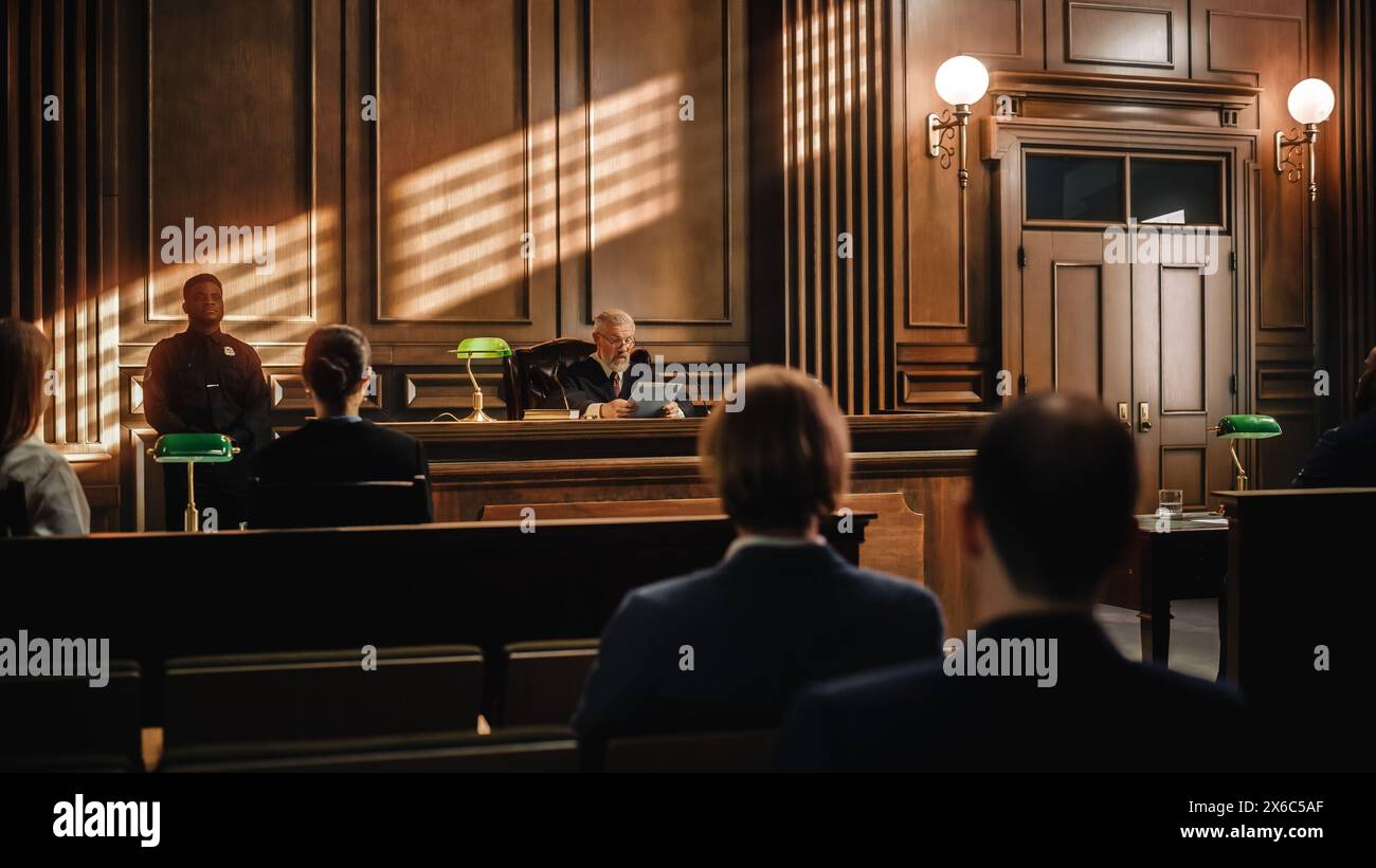 Court of Justice Trial: Impartial Judge and Public are Sitting, Listening. Supreme Federal Court ...