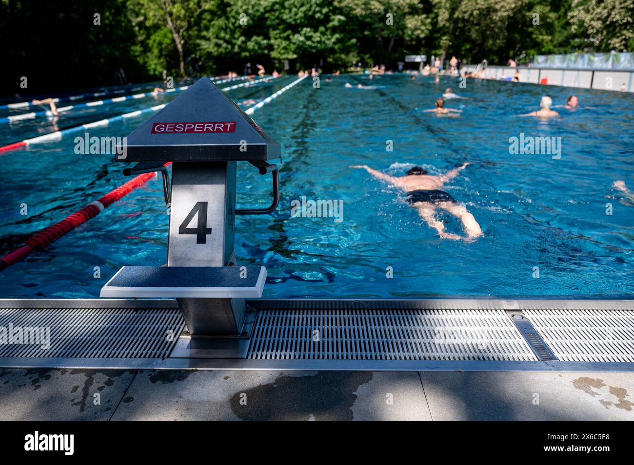 Berlin, Germany. 14th May, 2024. Swimmers in the sports pool at the ...