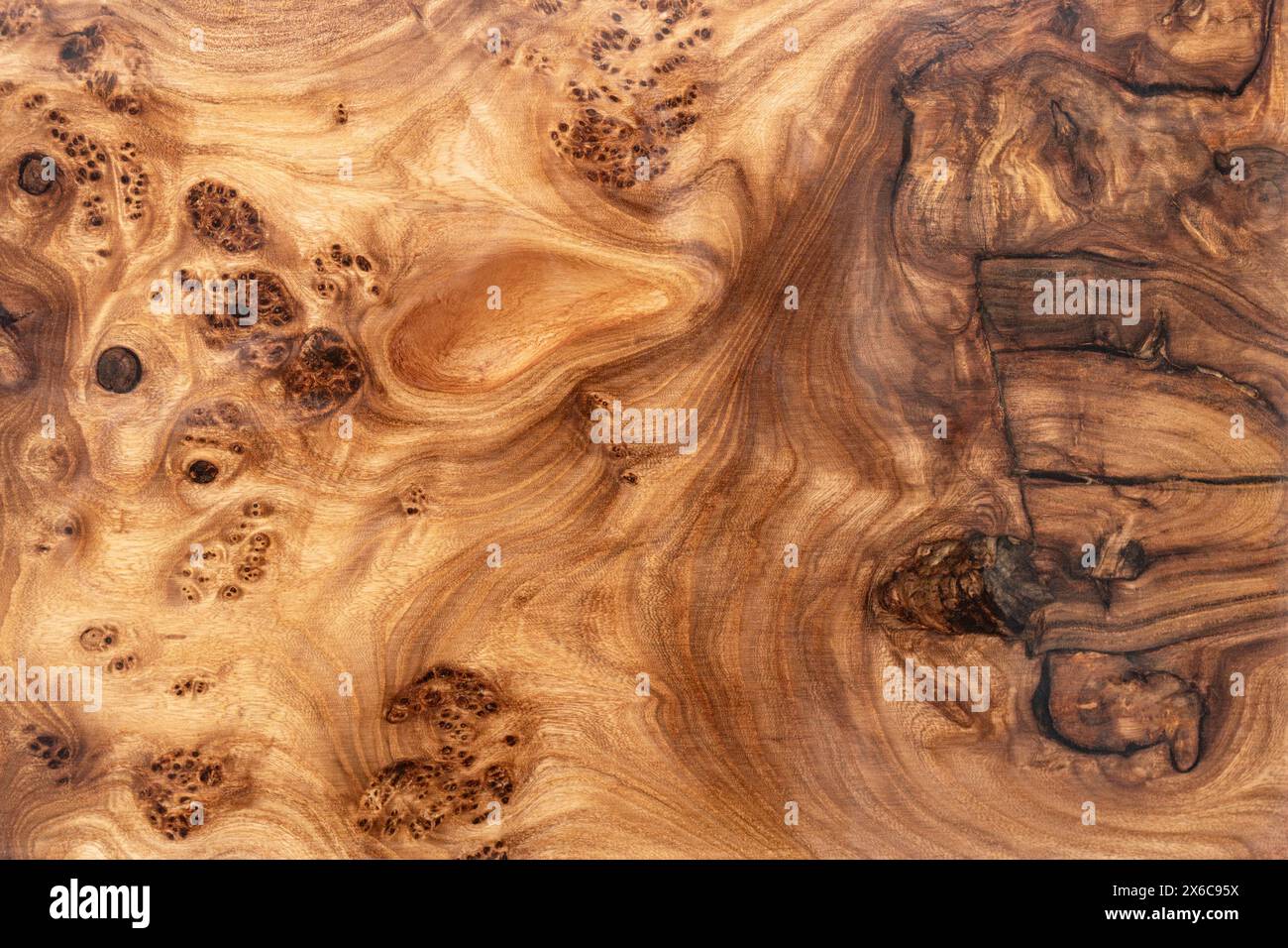 Texture of elm burl slab table top with inner knot in bizarre pattern ...