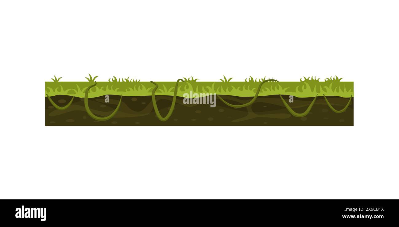 Underground layers of soil and green plants of tropical garden or ...