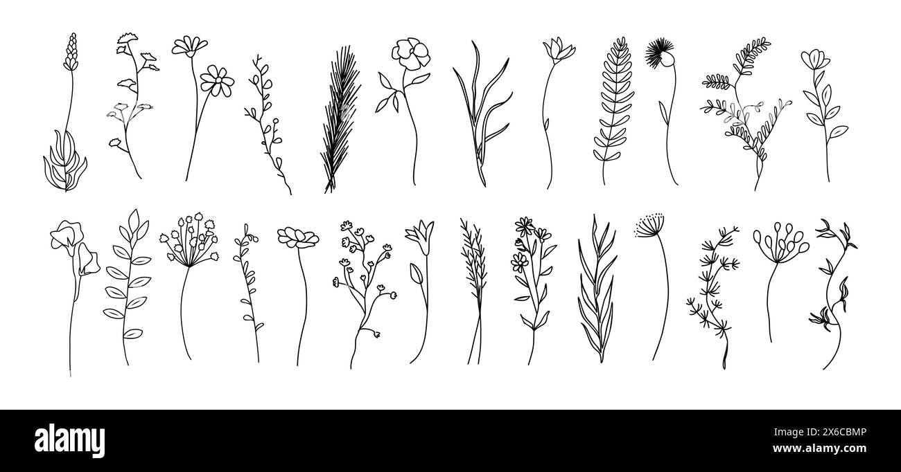 Set of tiny wild flowers and plants line art Stock Vector Image & Art ...